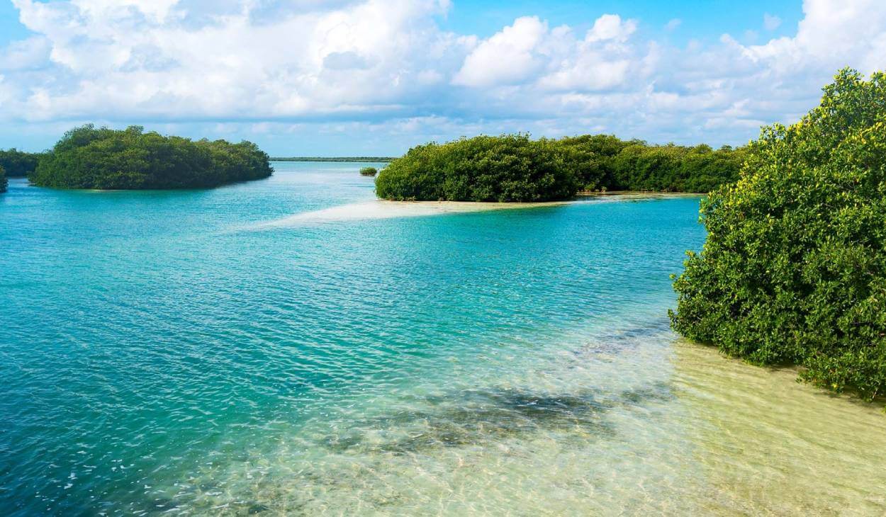 Conoce la Reserva de Sian Ka’an una de las maravillas del mundo en ...