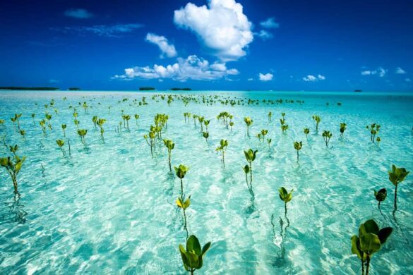 Cuales son las 10 islas más hermosas del Pacifico Sur? - Puros Viajes